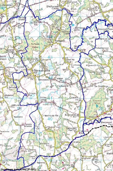 Home - Newdigate Parish Council